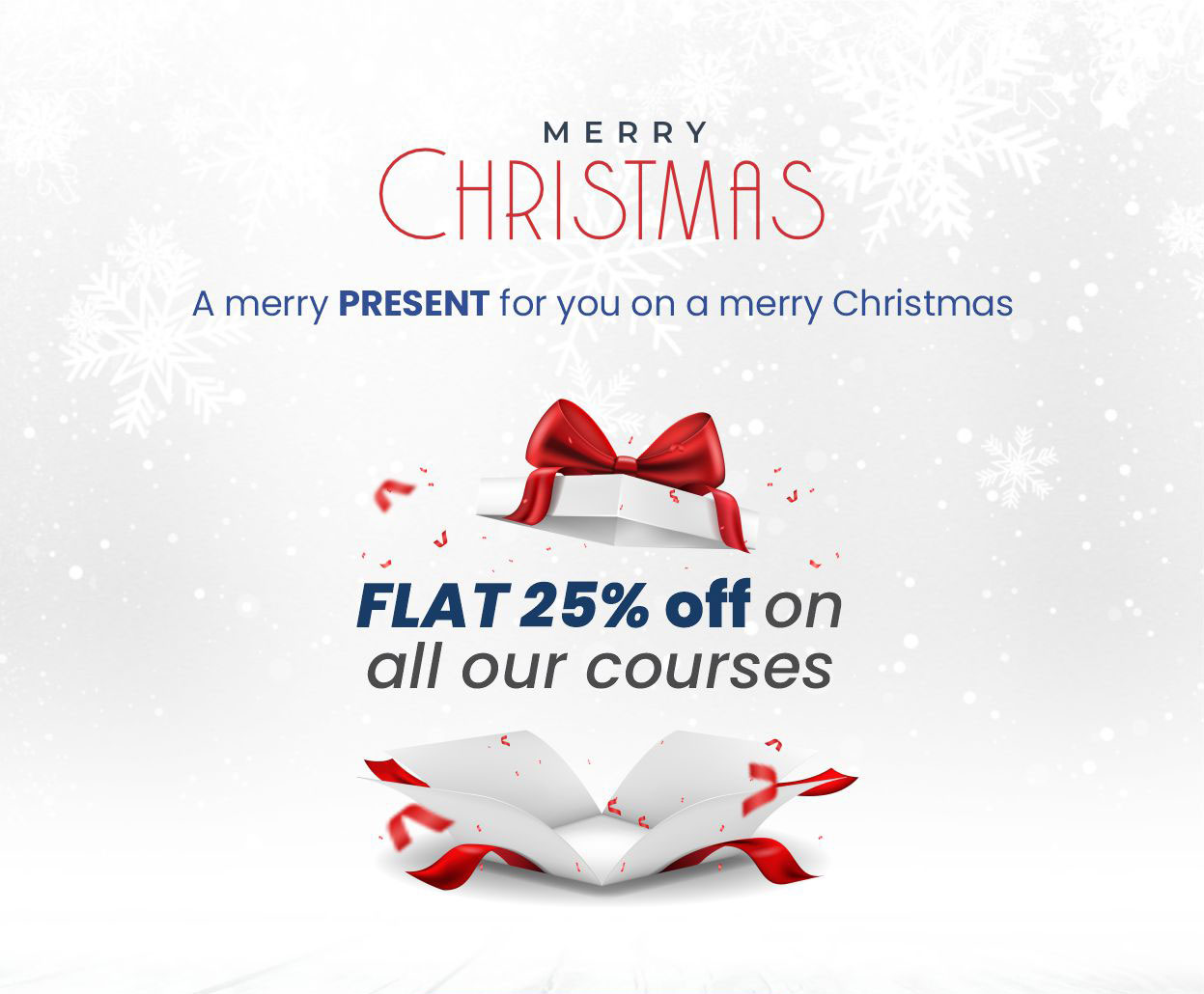 Christmas Offer
